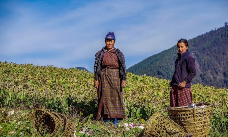 Bhutan Expands Organic Farming to Boost Agricultural Exports ‣ Bhutan ...